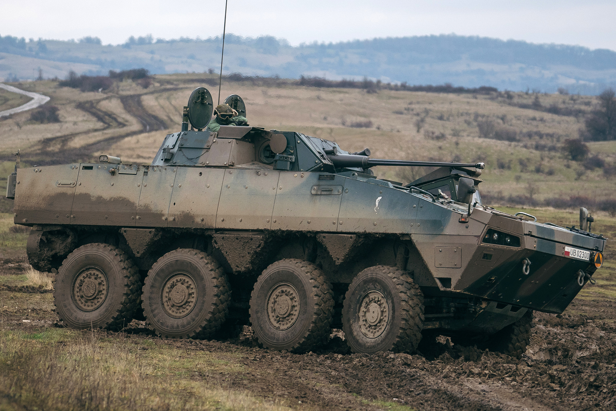 Rosomak від Польщі отримає Україна БТР | РБК-Україна