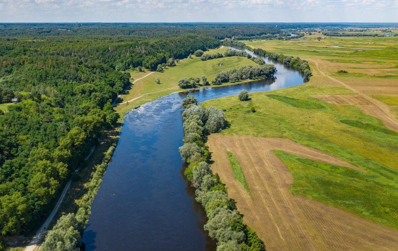 Загрязнение Десны дошло до Чернигова | РБК Украина