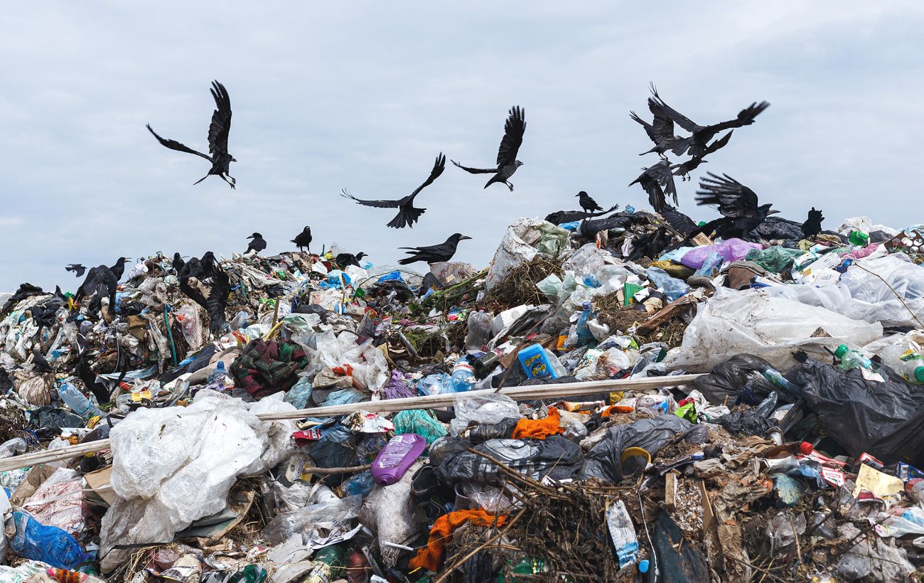 Gaza's sanitation crisis worsens as conflict leaves tons of waste and ...