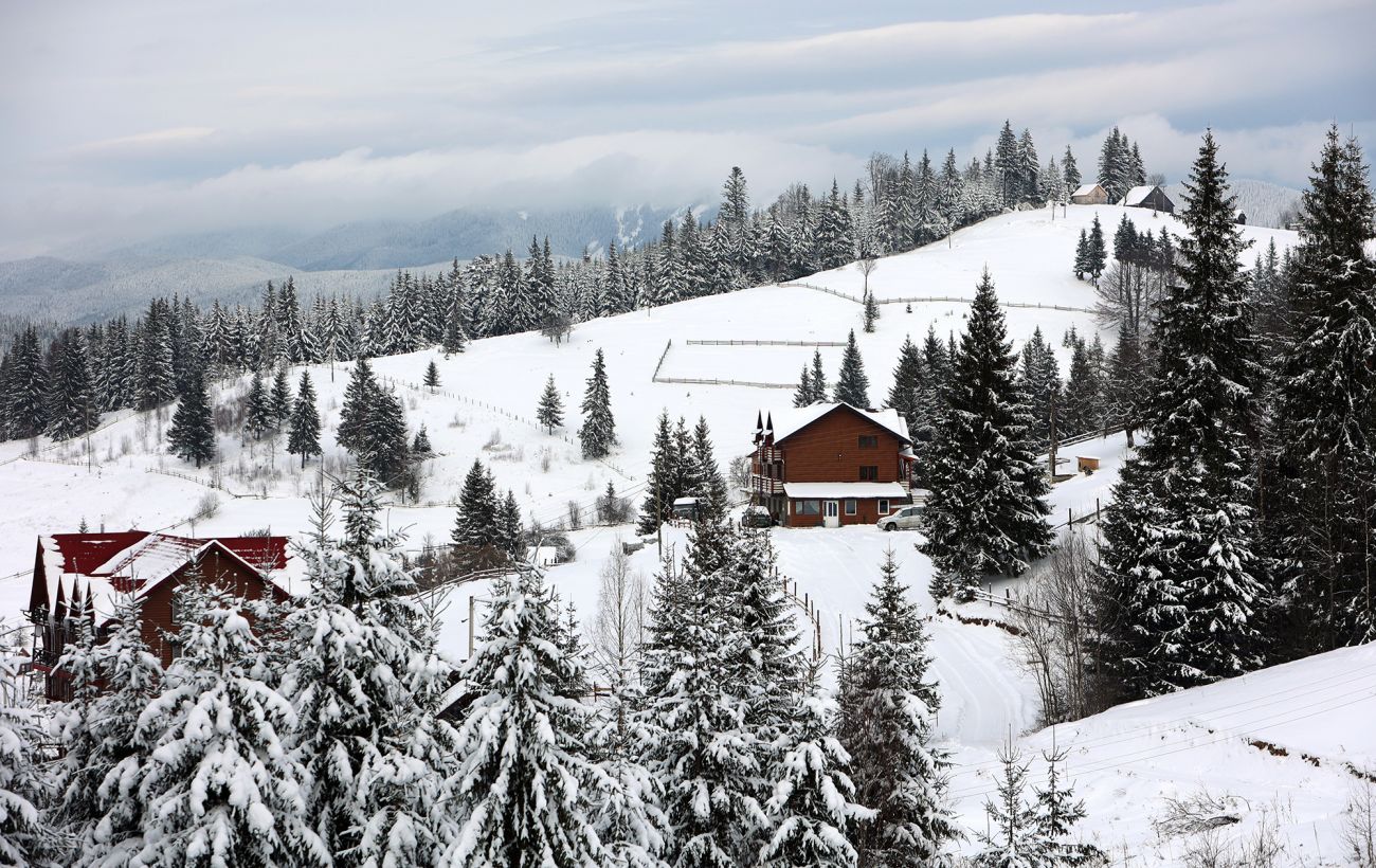 Відпочинок у Карпатах на Новий рік 2025 - де найнижчі ціни | РБК-Україна