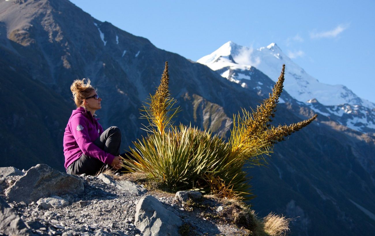 Новая Зеландия открывает границы: названы даты. Новости :section-UKR.NET.