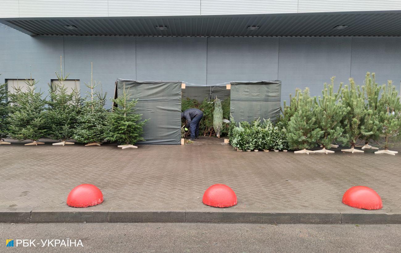 Новогодние елки в Киеве выкидывают на свалки продавцы | РБК-Україна